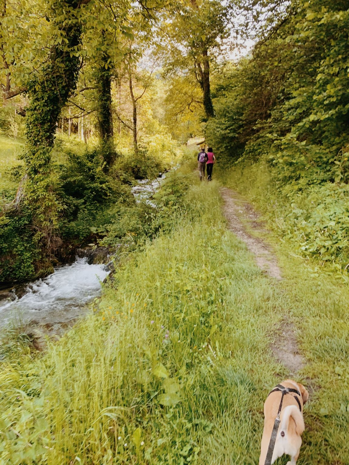 An Easy Hike on the Cyclamen Path – Maira Valley – Italy – Chiara Lewis
