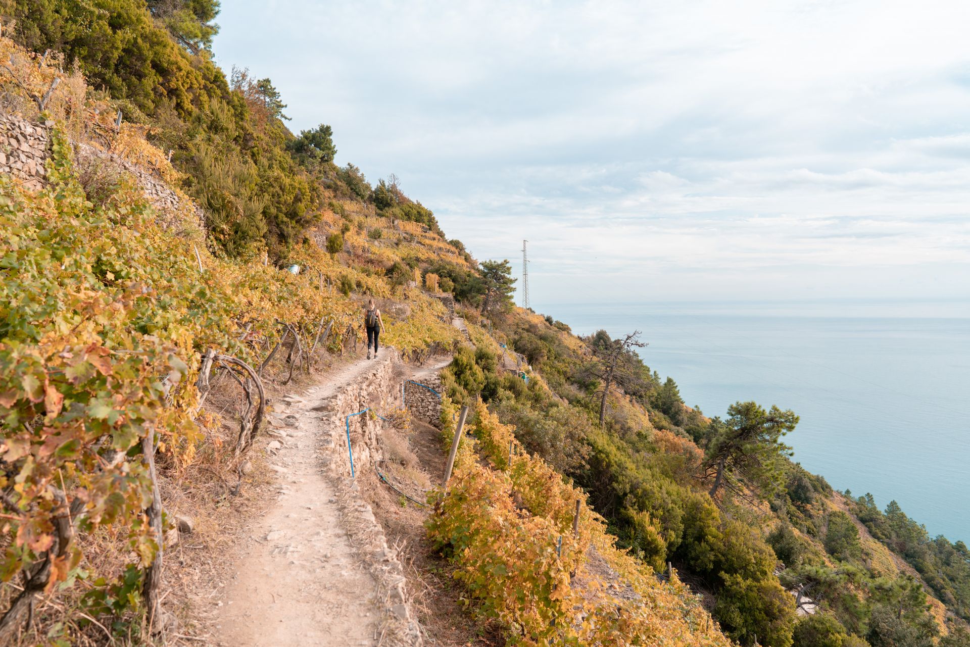 A Guide to Hike in the Cinque Terre, Italy – Chiara Lewis